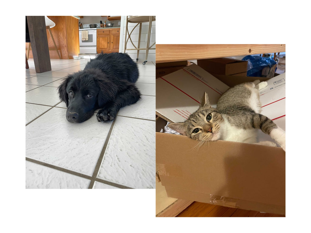 Meet the Team at Inventora - Inventora